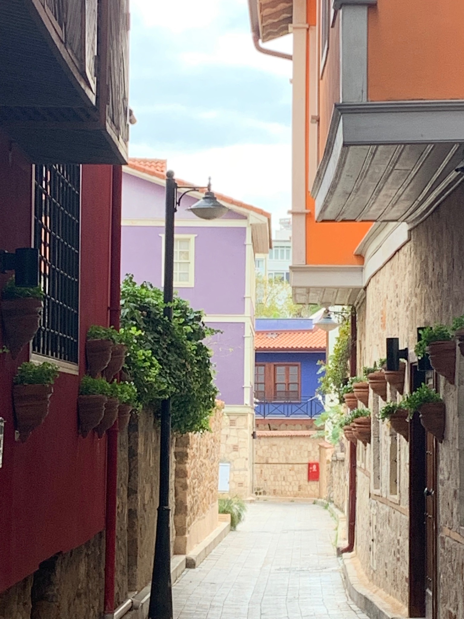 Turkey & Malaysia Trips — Apollos Training