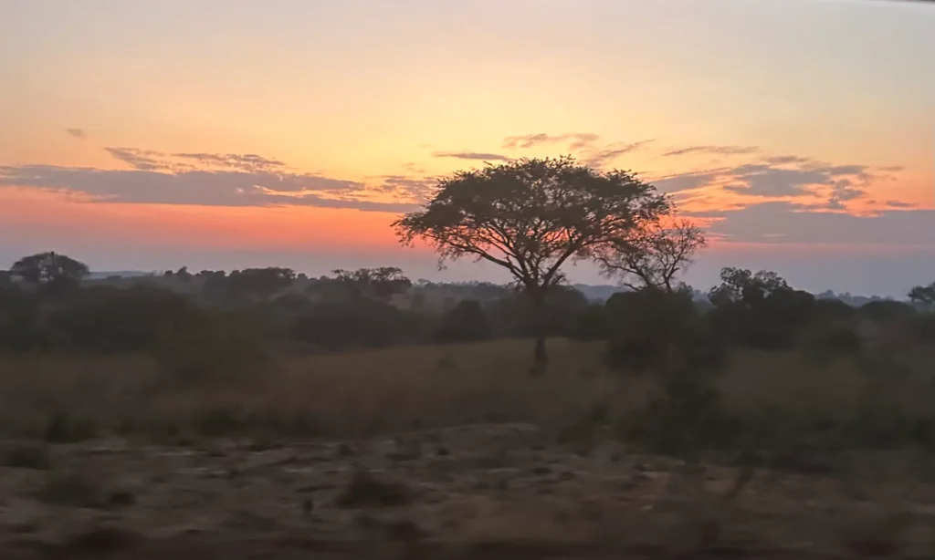 Next Stop: Kenya — Apollos Training
